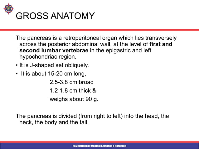 PANCREATIC TUMOURS radiology imaging.pptx