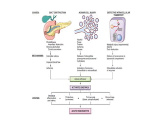 Pancreatitis | PPT