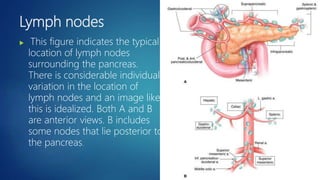 Pancreatitis | PPTX | Endocrine and Metabolic Diseases | Diseases and ...