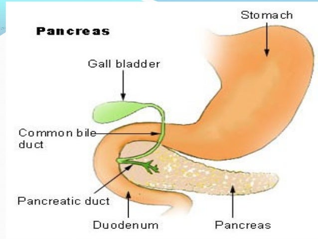 Pancreatitis.2012