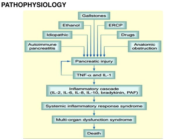 Pancreatitis | PPT