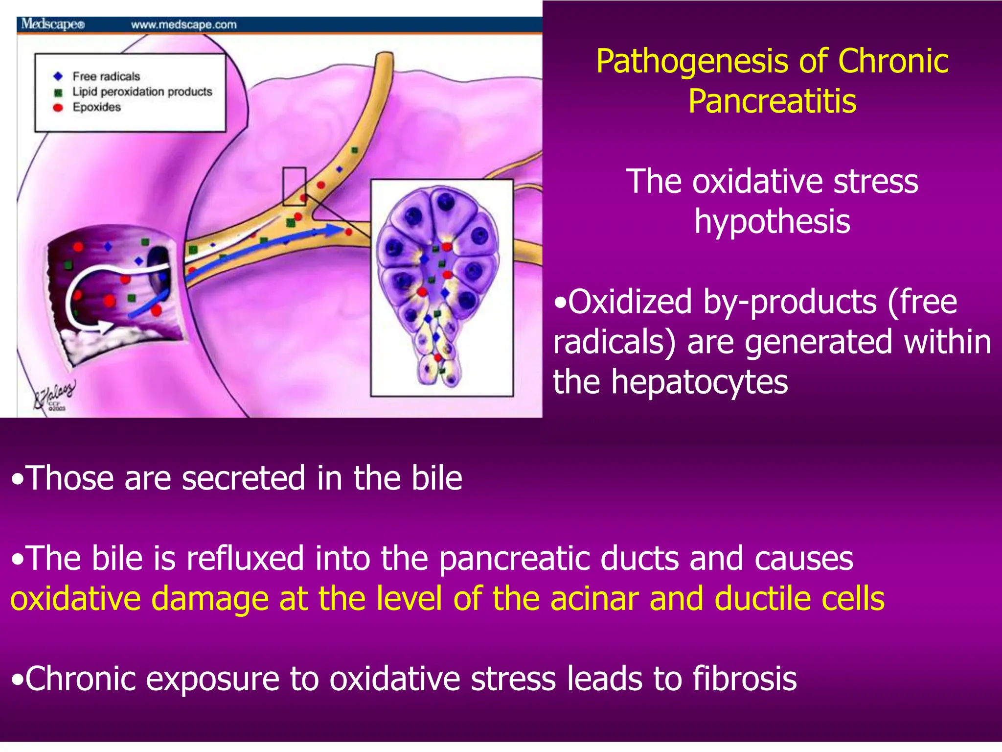 Pancreatitis.ppt