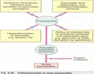 Acute and Chronic Pancreatitis diagnosis and ttt.ppt