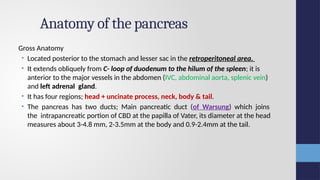Comprehensive Overview of Pancreatitis: Anatomy, Pathophysiology, and ...