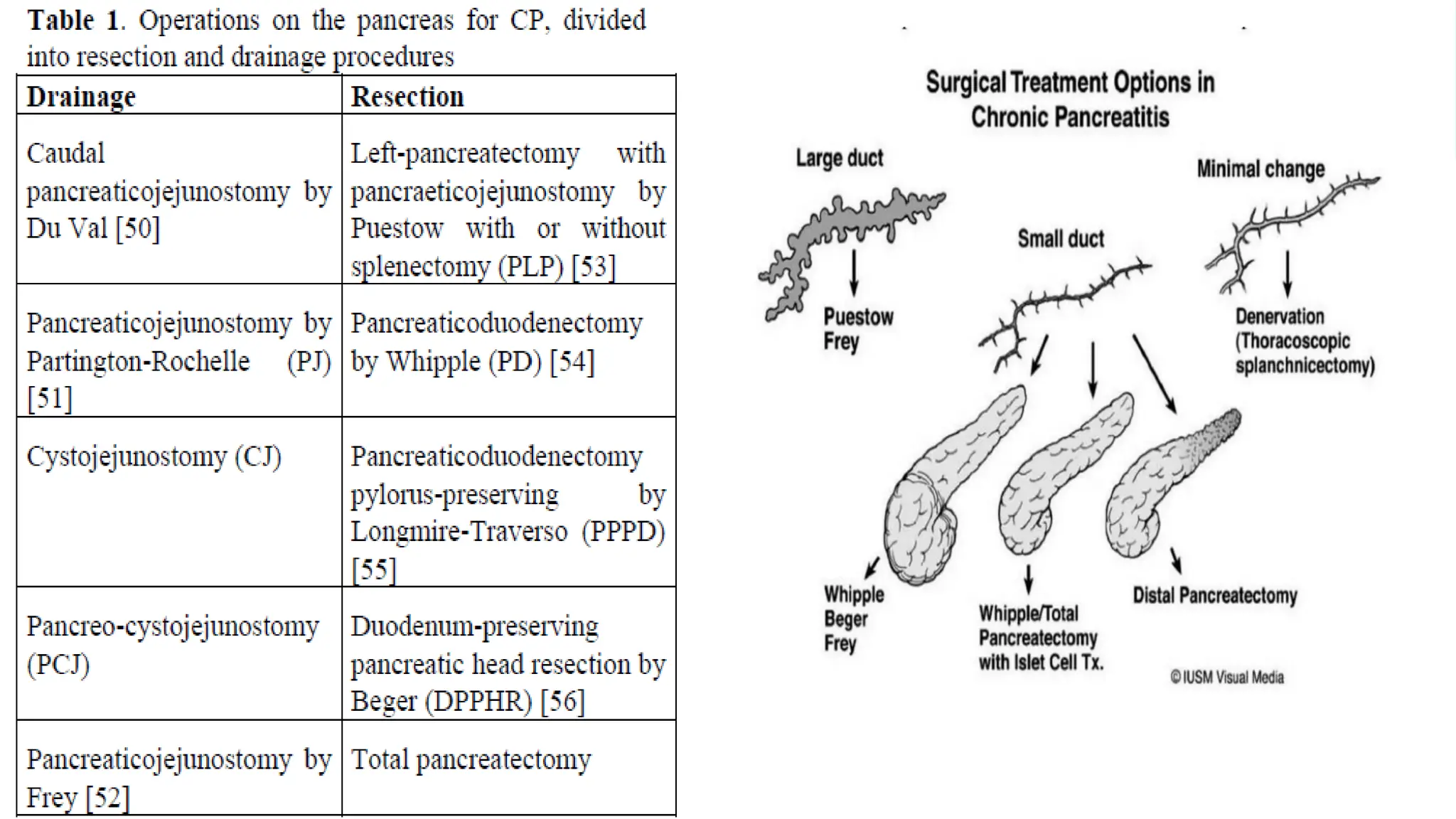Pancreatitis - Acute & Chronic - Types, C/F & Mgt | PDF
