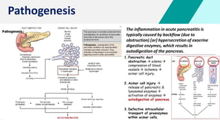 Pancreatitis - Acute & Chronic - Types, C/F & Mgt | PDF