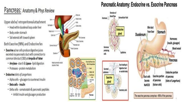 Pancreatitis - Acute & Chronic - Types, C/F & Mgt | PDF | Digestive ...