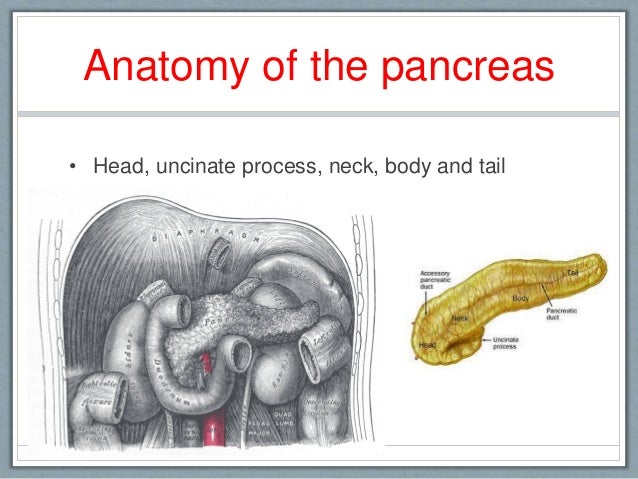 Pancreatitis