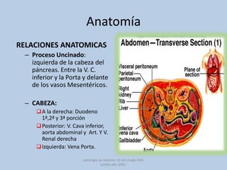 Pancreatitis aguda | PDF
