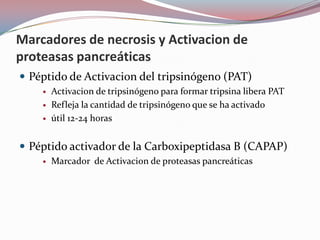 Pancreatitis aguda | PPT
