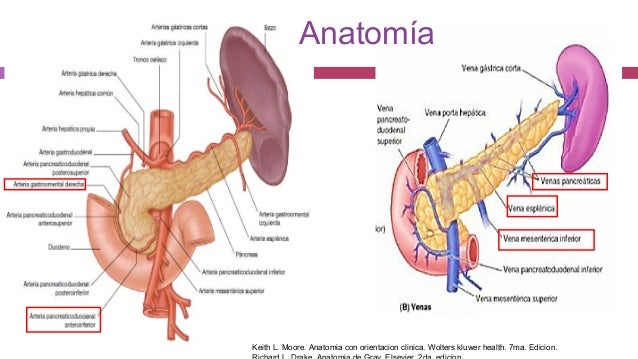 Pancreatitis aguda