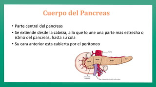 Pancreatitis aguda | PPTX