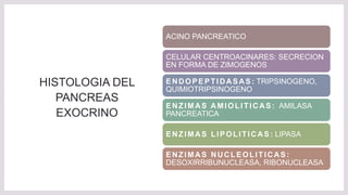 PANCREATITIS_AGUDA POR RESIDENTE QUIRURGICO | PPTX