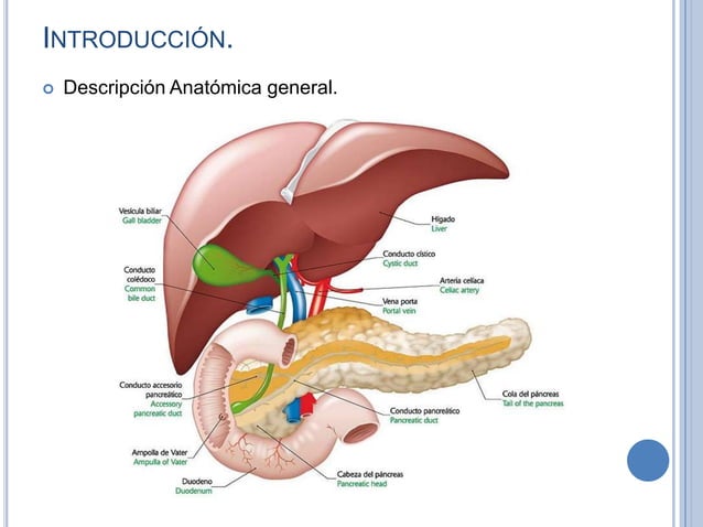 Pancreatitis aguda por TC | PPTX