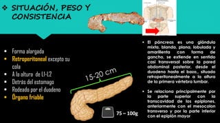PANCREATITIS aguda explicacion anatomia todo | PDF