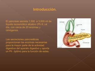Pancreatitis Aguda y Crónica ¡Conoce la diferencia y que es cada una! - equaco.com