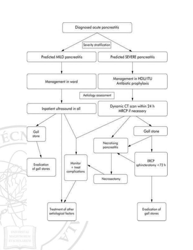 Pancreatitis algorithm | PDF