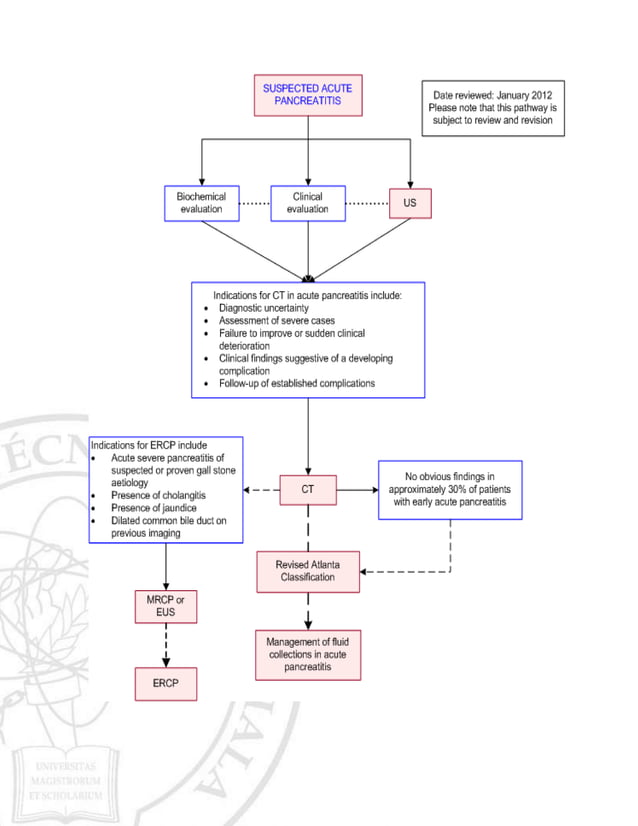 Pancreatitis algorithm | PDF