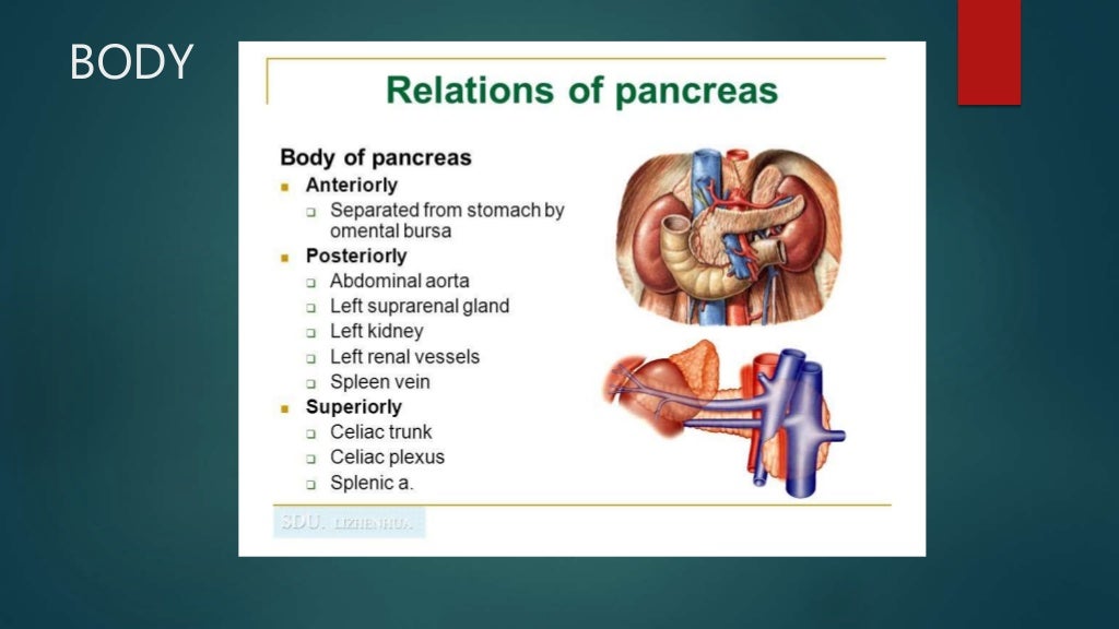 Pancreatitis by dr anoop