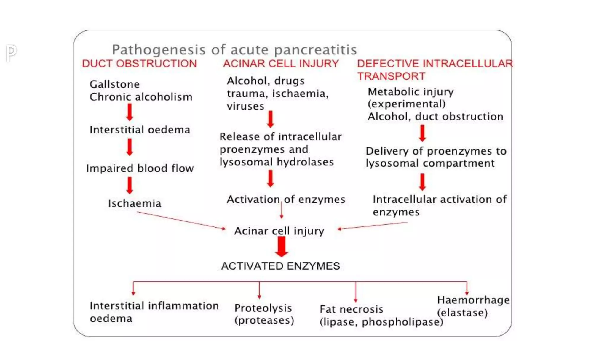 Pancreatitis - etiology, pathophysiology and nutrition | PPTX ...
