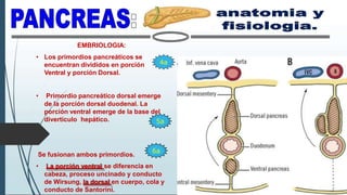 pancreatitis diapos.pptx