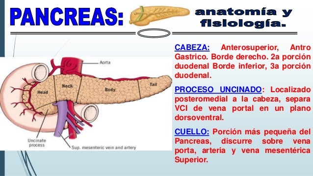 PANCREATITIS PRESENTACION