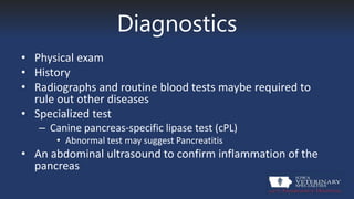 Canine Pancreatitis | PPTX