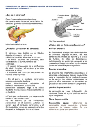 Pancreatitis canina | PDF