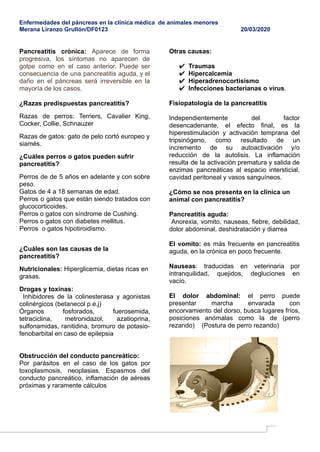 Pancreatitis canina | PDF