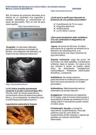 Pancreatitis canina | PDF
