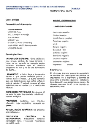 Pancreatitis canina | PDF