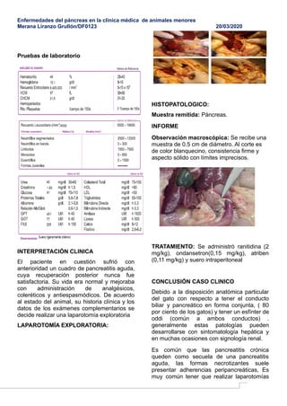 Pancreatitis canina | PDF