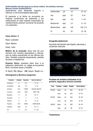 Pancreatitis canina | PDF