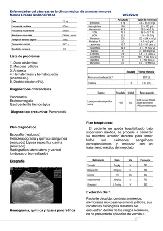 Pancreatitis canina | PDF