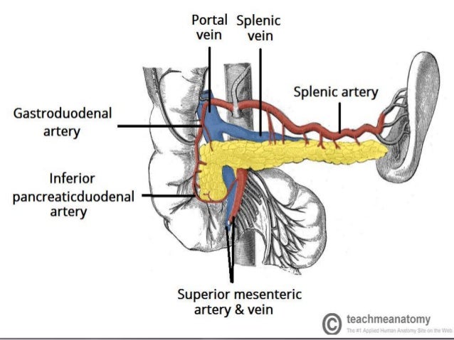 ACUTE PANCREATITIS