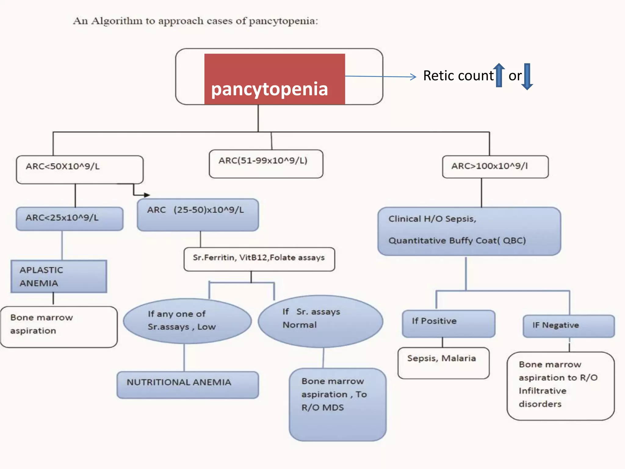 Pancytopenia | PPTX | Blood Disorders | Diseases and Conditions