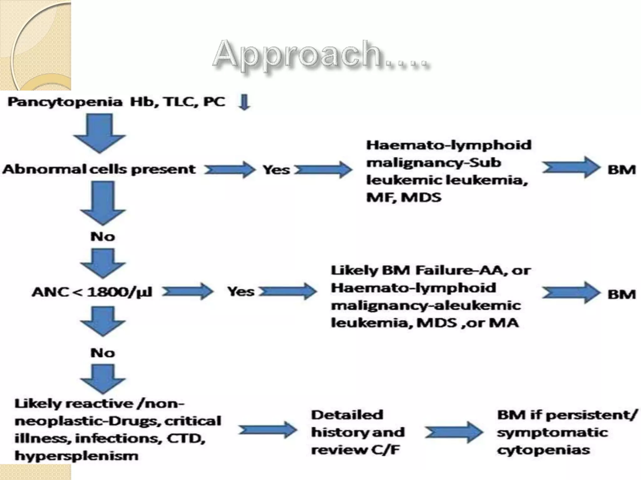 Pancytopenia | PPTX | Blood Disorders | Diseases and Conditions