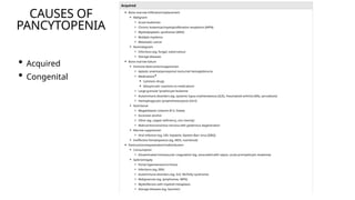 PANCYTOPENIA Approach , algorithm etc .pptx