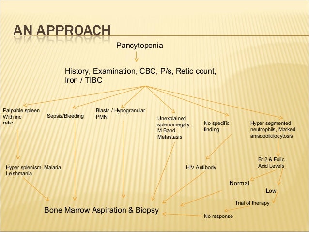 Pancytopenia Approach