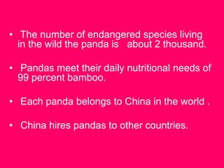 Panda | PPT