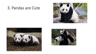 panda.pptx
