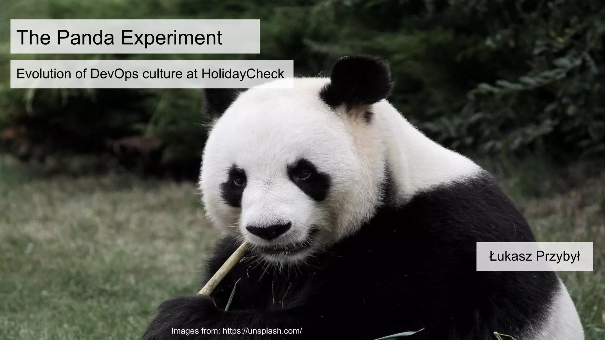 The Panda Experiment - evolution of DevOps culture at HolidayCheck | PDF