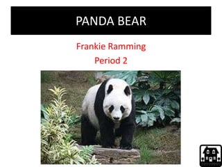 Panda bear | PPTX | Large Animals | Pets