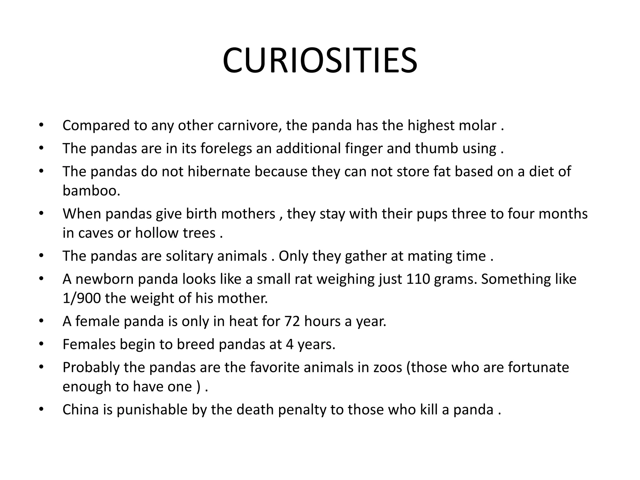 Panda bear | PPTX | Large Animals | Pets