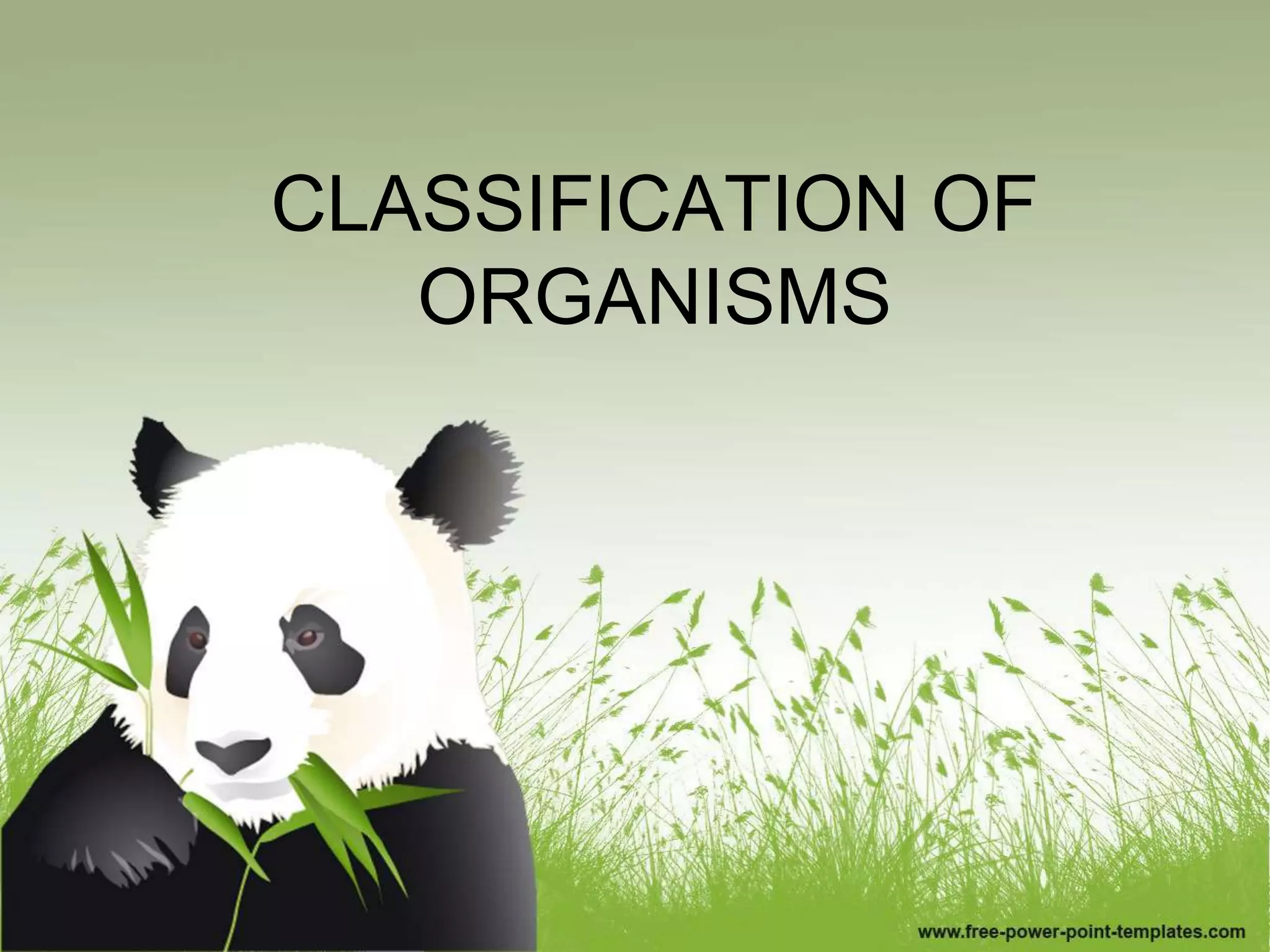CLASSIFICATION OF ORGANISMS | PPT