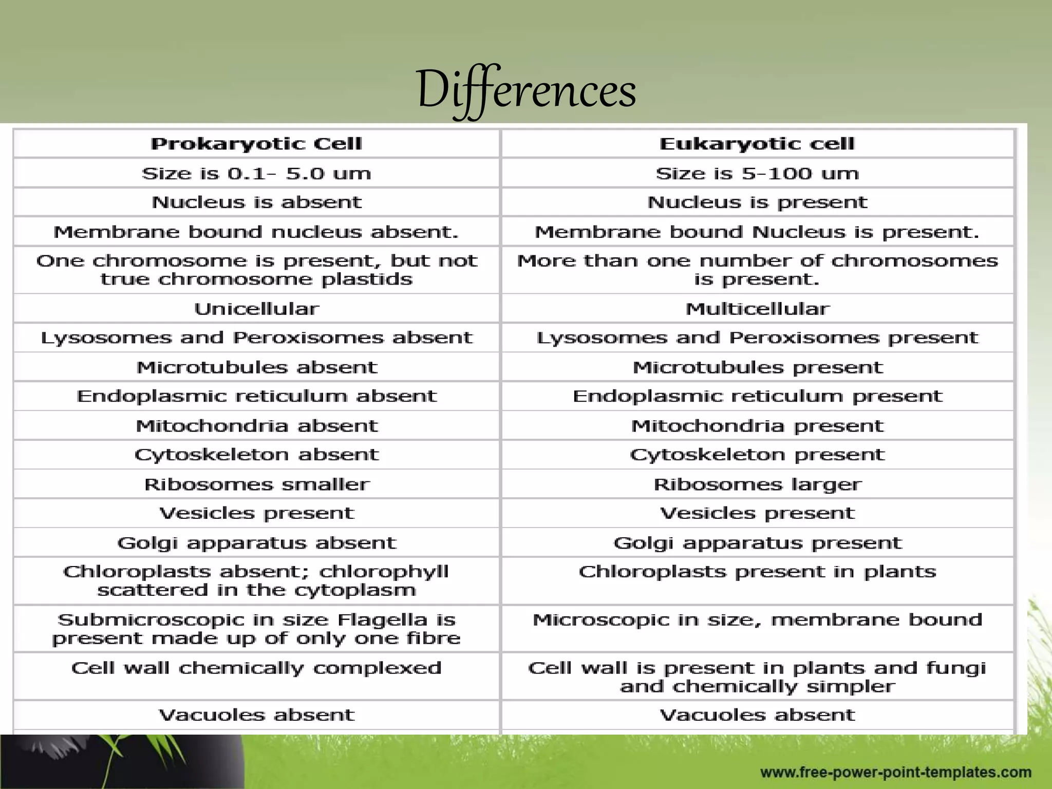 CLASSIFICATION OF ORGANISMS | PPT