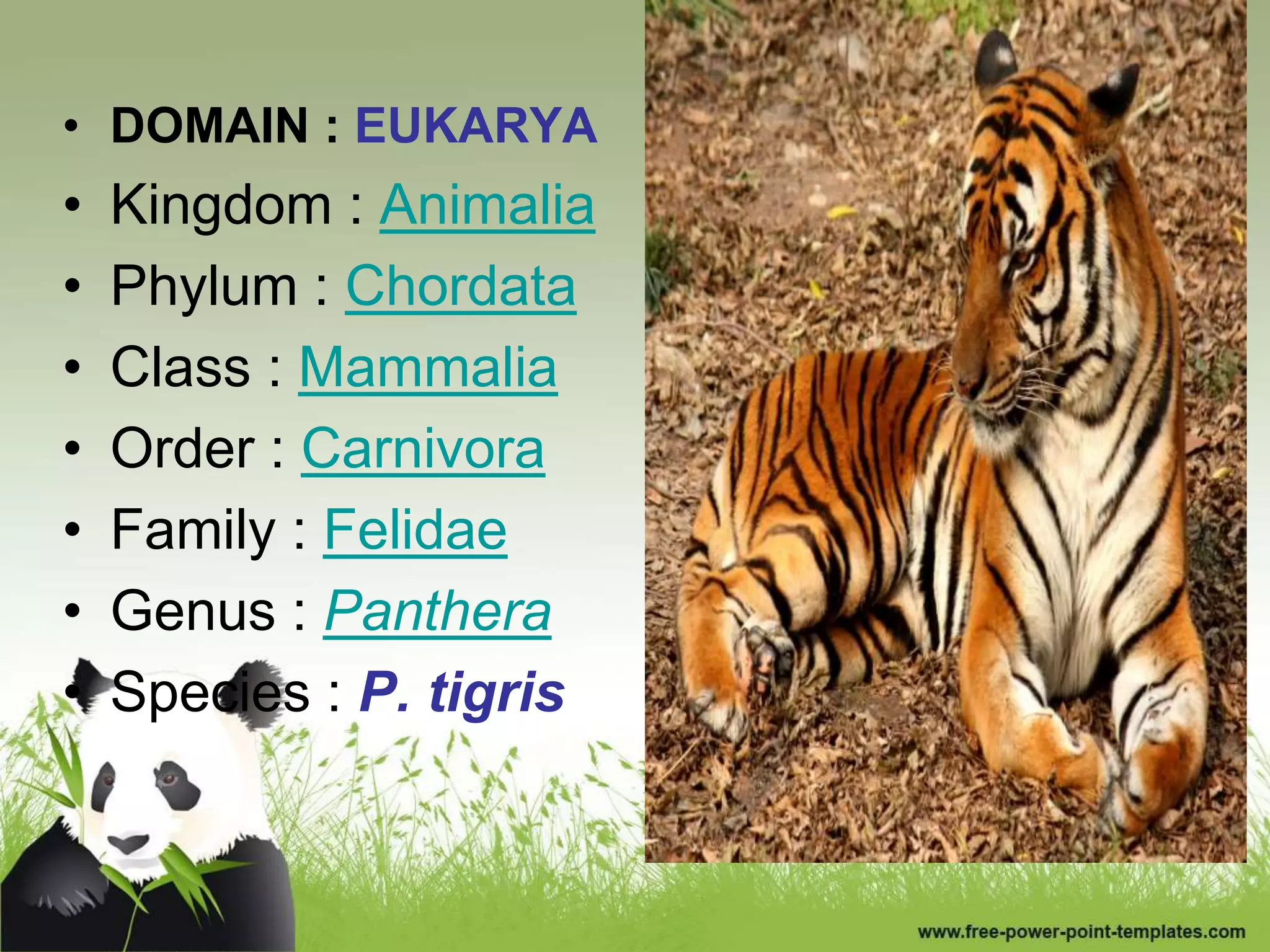 CLASSIFICATION OF ORGANISMS | PPT