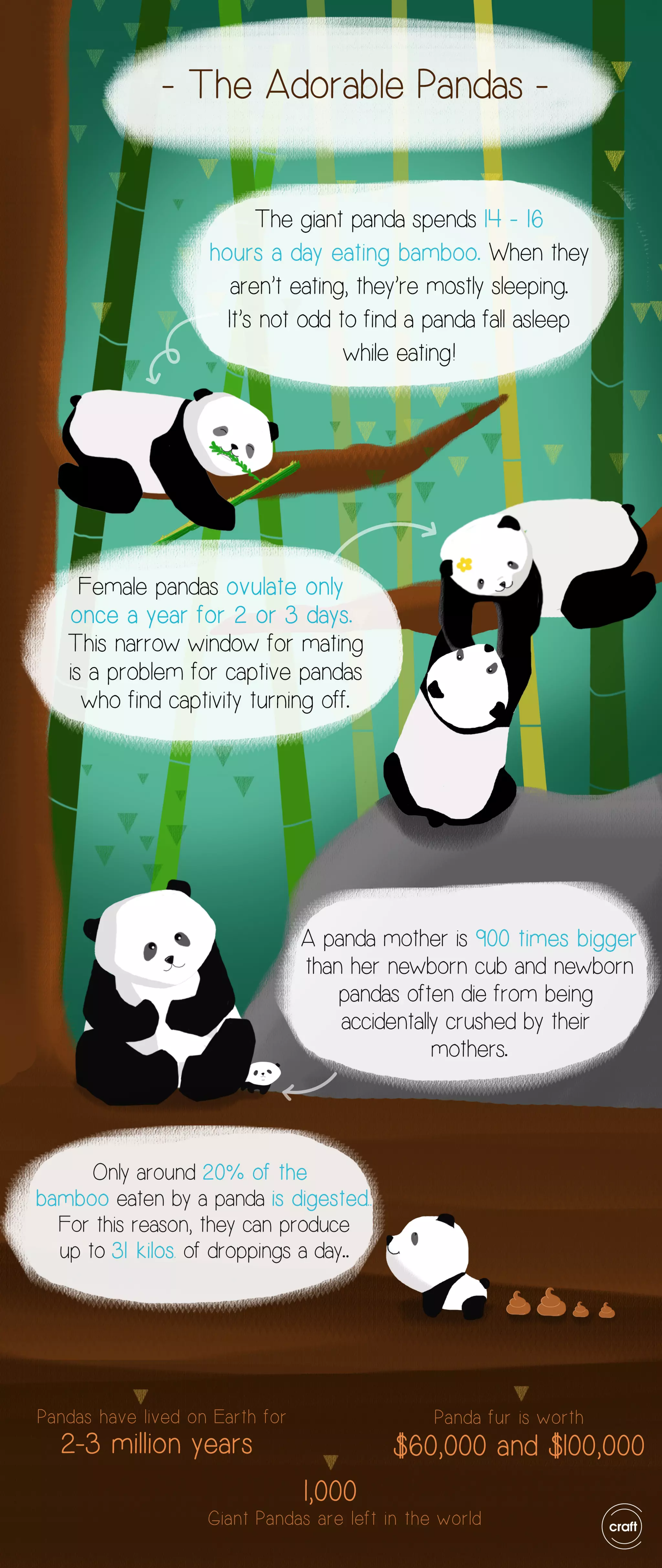 The Adorable Pandas - An Infographic | PDF