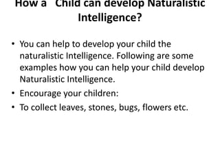Naturalistic Intelligence Examples
