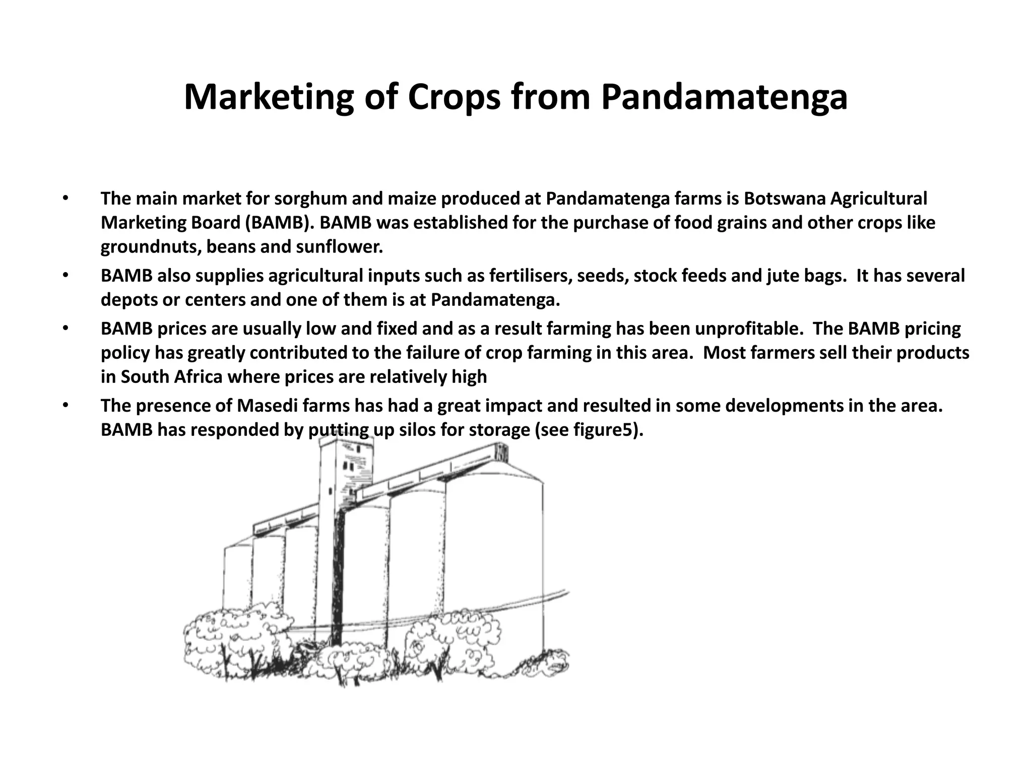Pandamatenga case study | PPTX